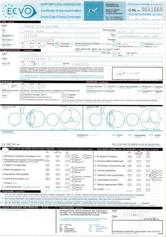 Oog onderzoek (ECVO) – of Noble Force Mastiffs